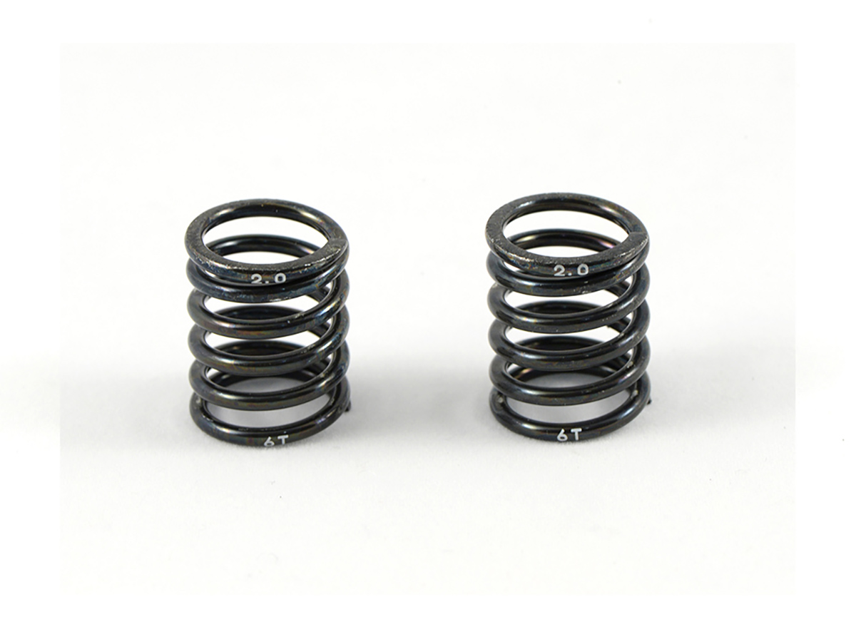 INFINITY FRONT SPRING D2.0-6T | Fvssshop.it